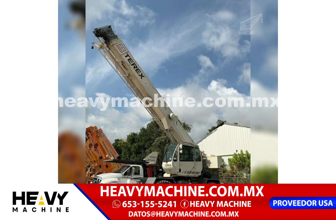 Grúa RT 2008 TEREX RT230-1 en venta